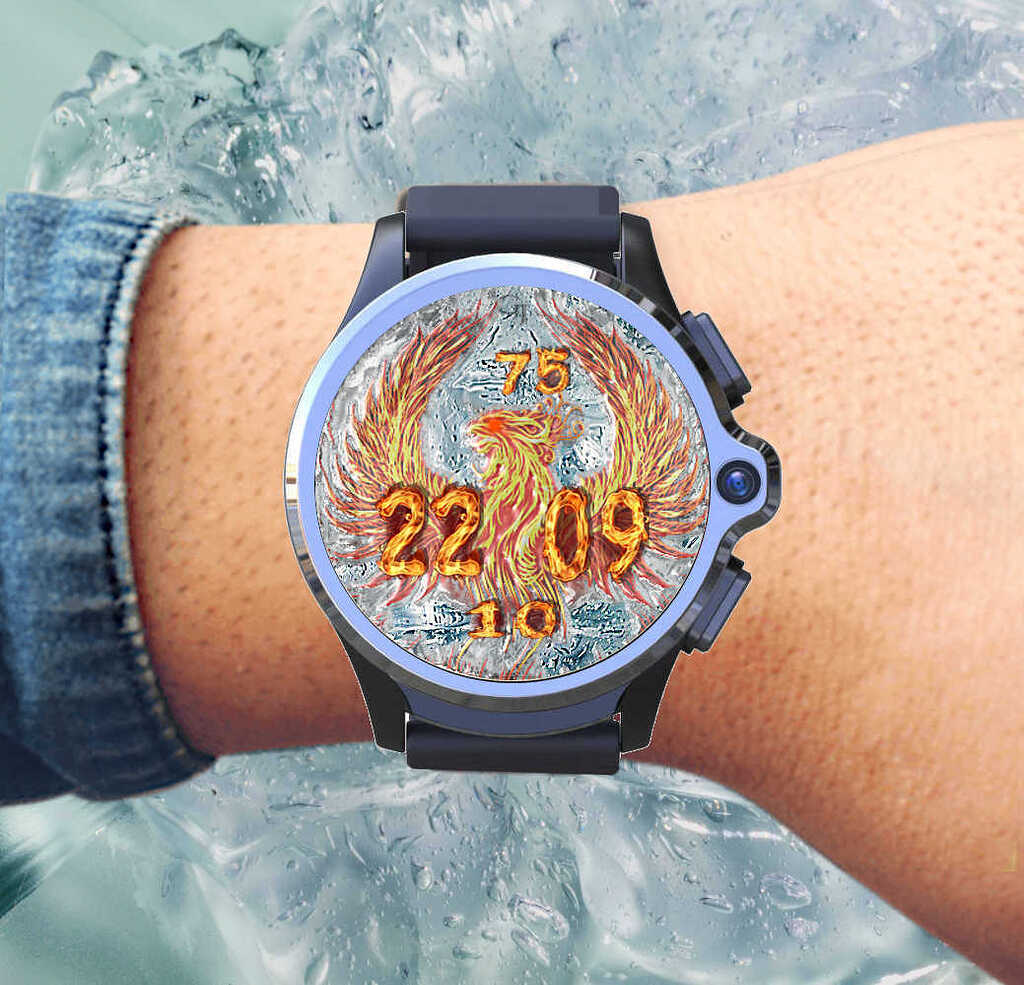 Frozen FeniX watchface - Round Custom Faces - Full Android Watch