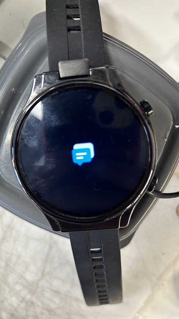 Icon(notification) meanings - General - Full Android Watch